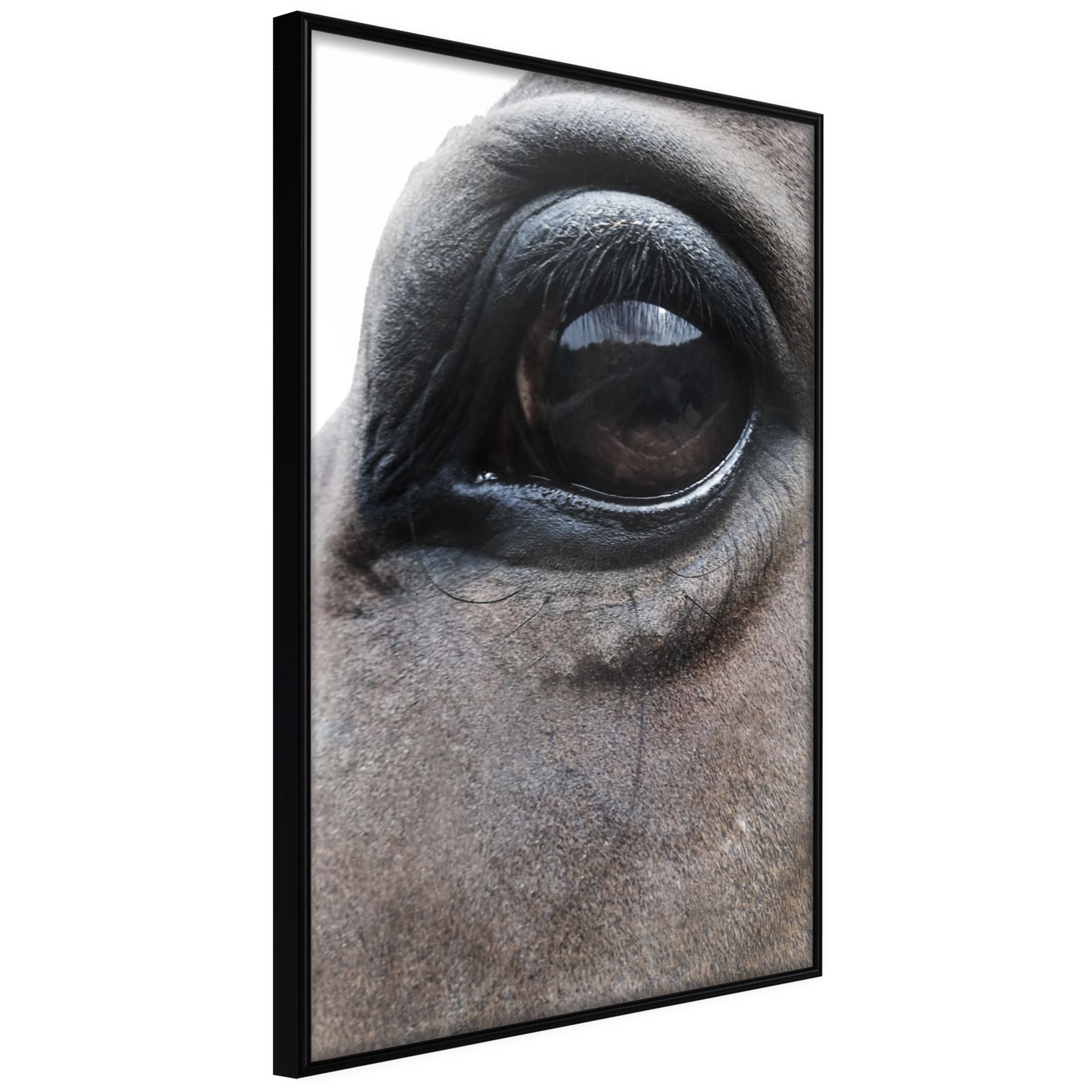 Poster 'Honest Eyes' bestellen | KunstLoft