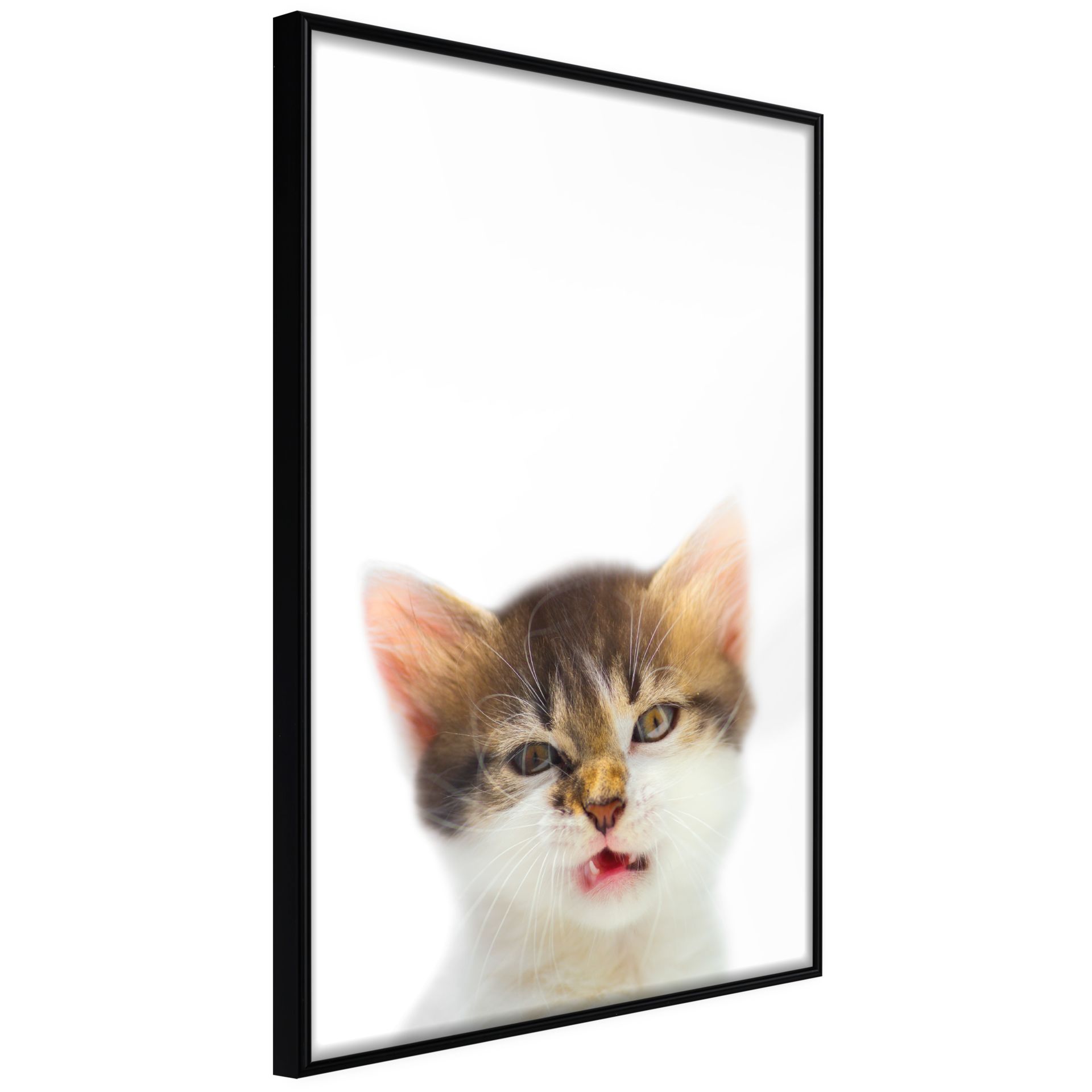 Order poster 'Vexed Cat' | KunstLoft
