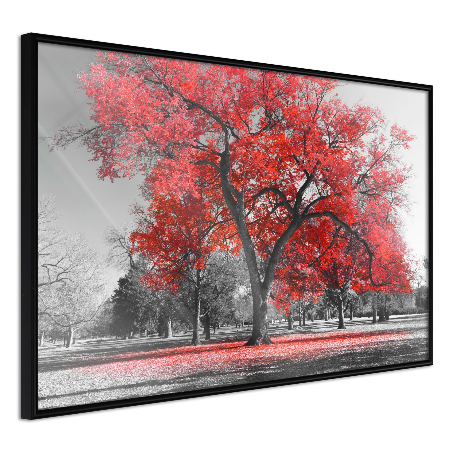 Order poster 'Red Tree' | KunstLoft