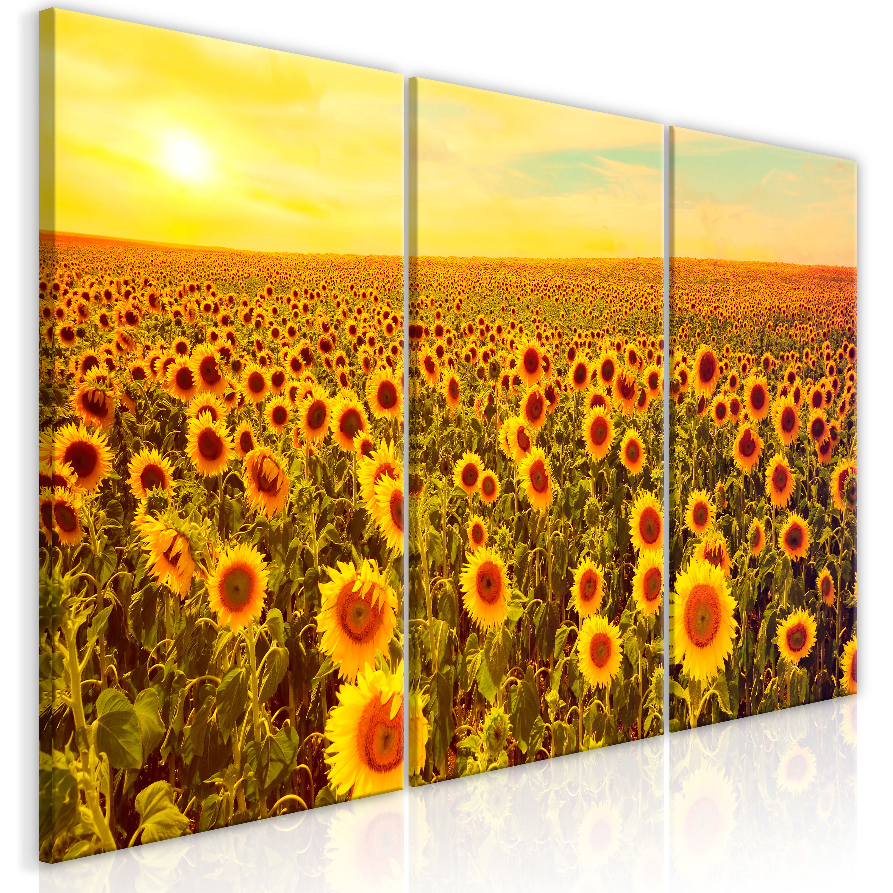 Kunstdruck auf Leinwand 'Sunflowers at Sunset (3-teilig)' kaufen ...