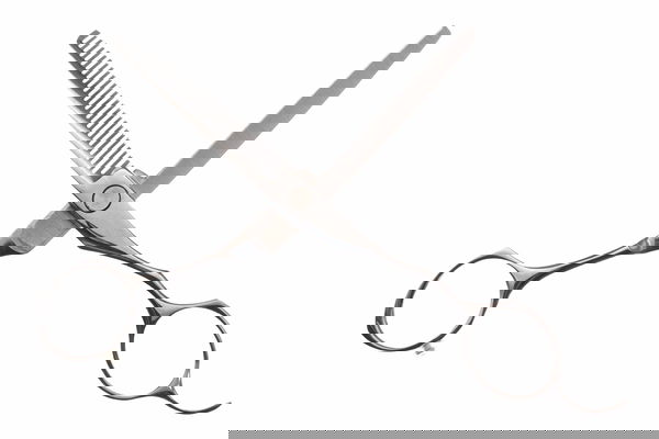 Buy nail and haircutting scissors made in Japan | Seki EDGE