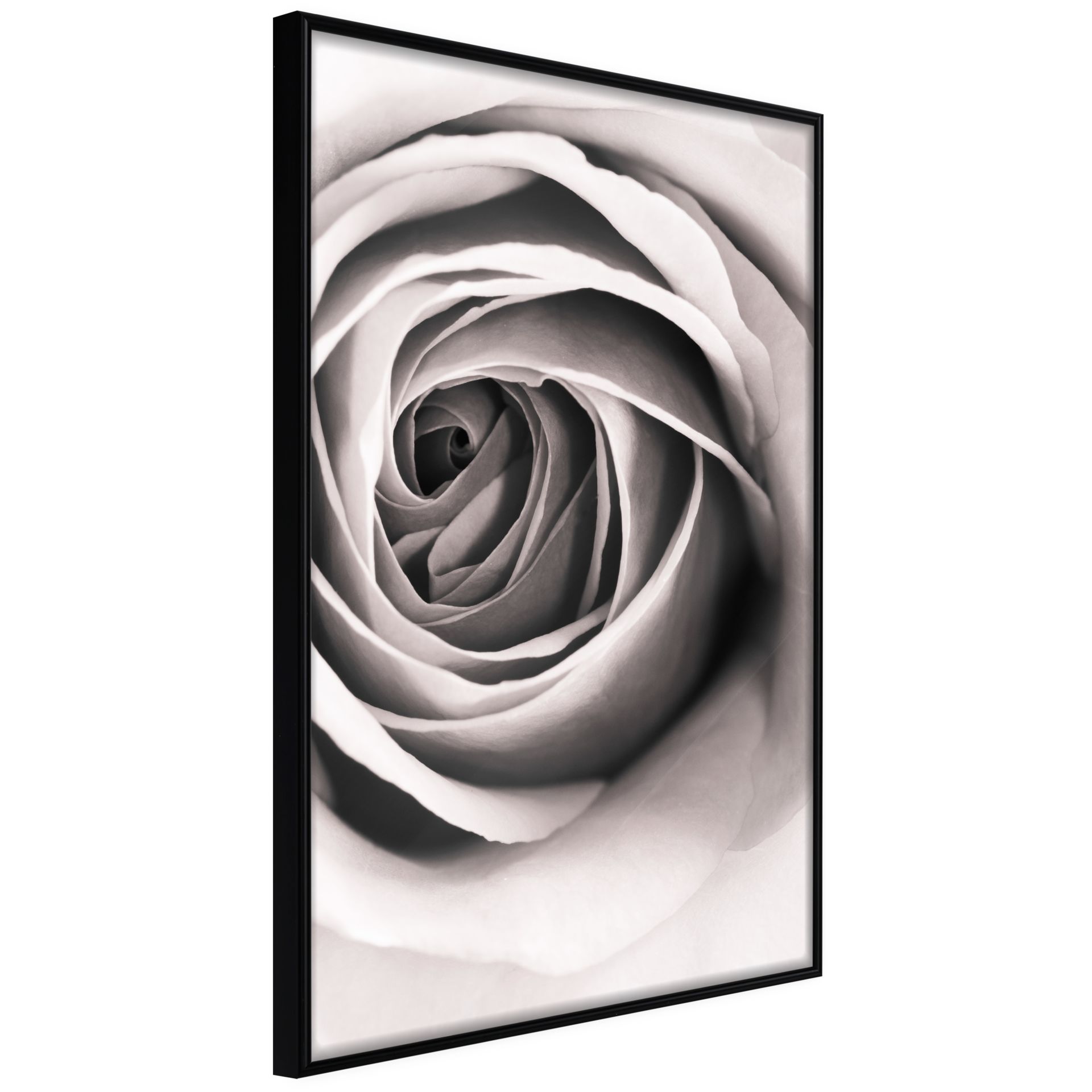Order poster 'Structure of Petals' | KUNSTLOFT