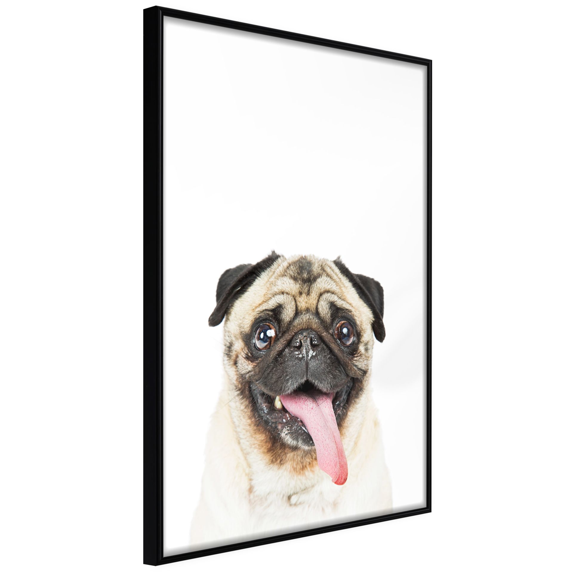 Poster 'Pug' kaufen | KUNSTLOFT