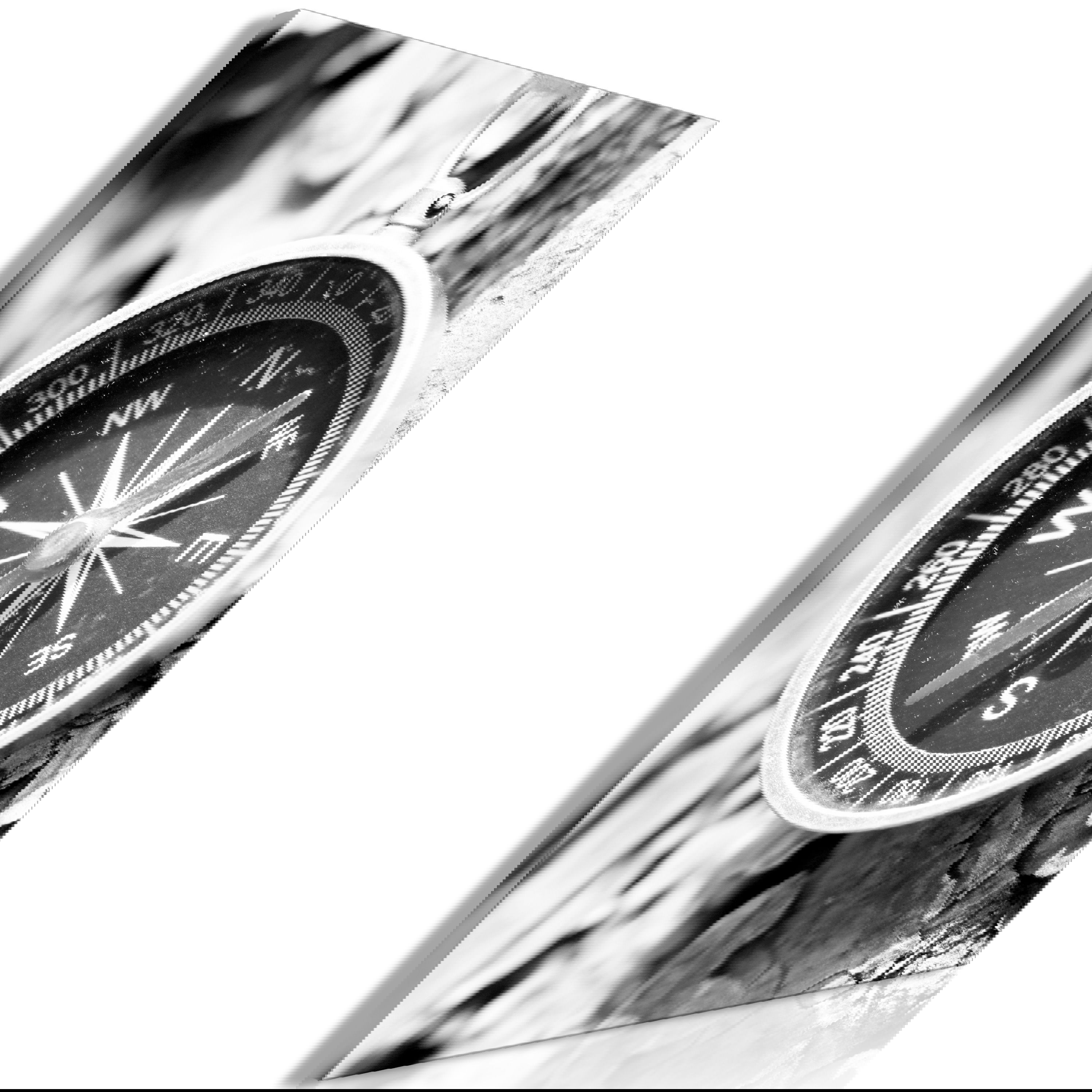 Order art print 'Black and White Compass Vertical' | KunstLoft